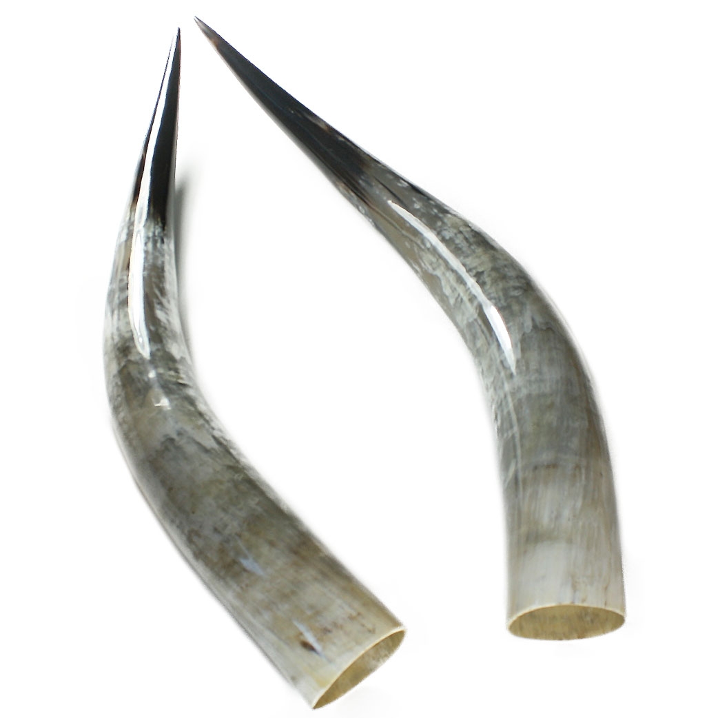 Horncraft